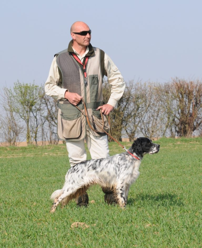 Le Setter Anglais - Bécassiers de France